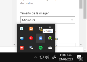 Como poner en español programa Zoom - Infocat Soluciones